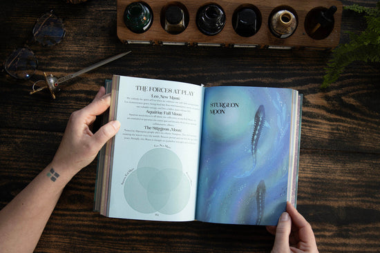New Moon in Leo 2025 – Moon Phase Studios