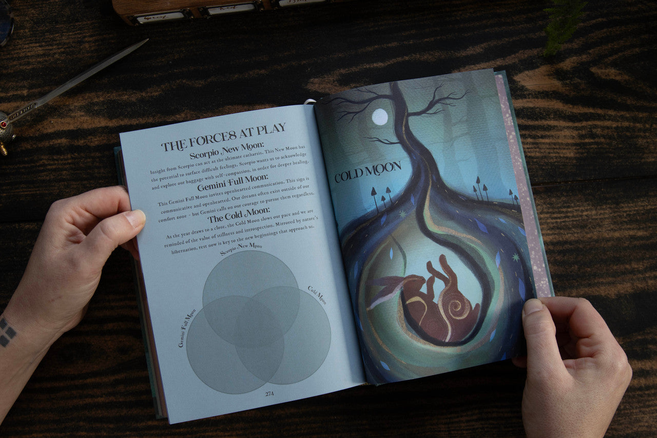 New Moon in Scorpio 2025 – Moon Phase Studios