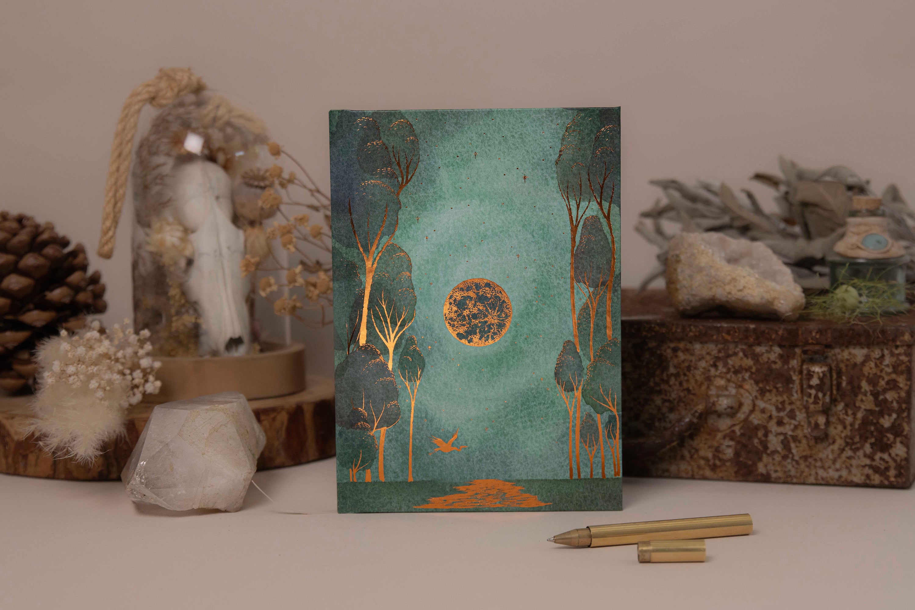 New Moon in Capricorn 2024 – Moon Phase Studios