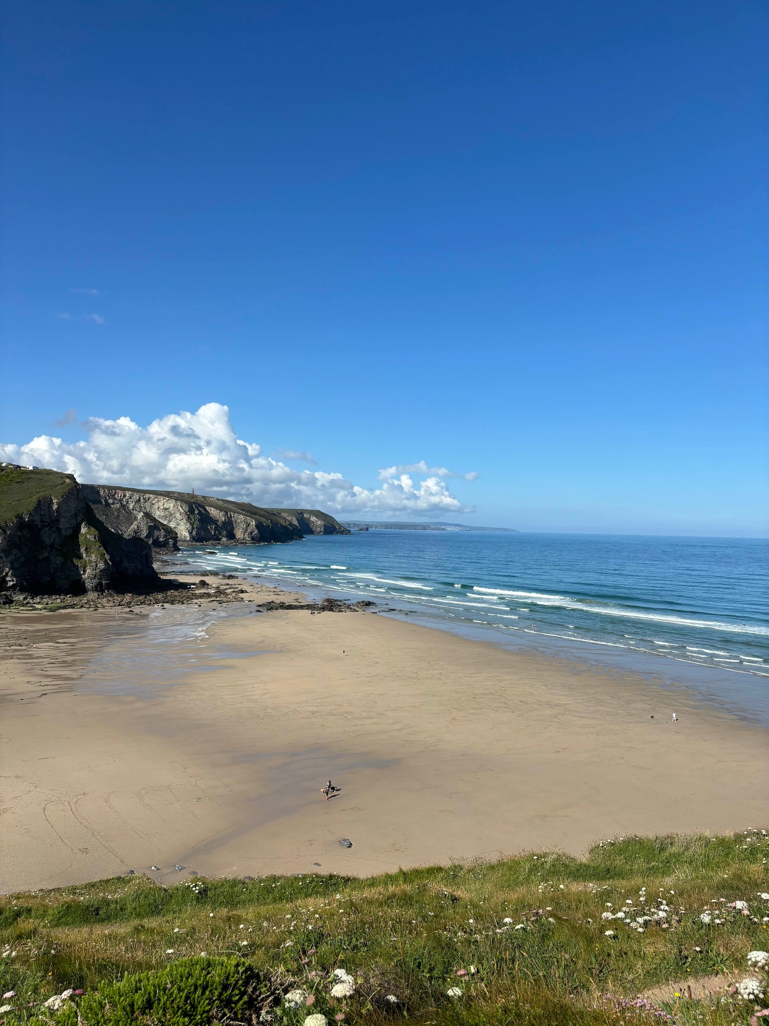 Our support for cleaner oceans – Moon Phase Studios