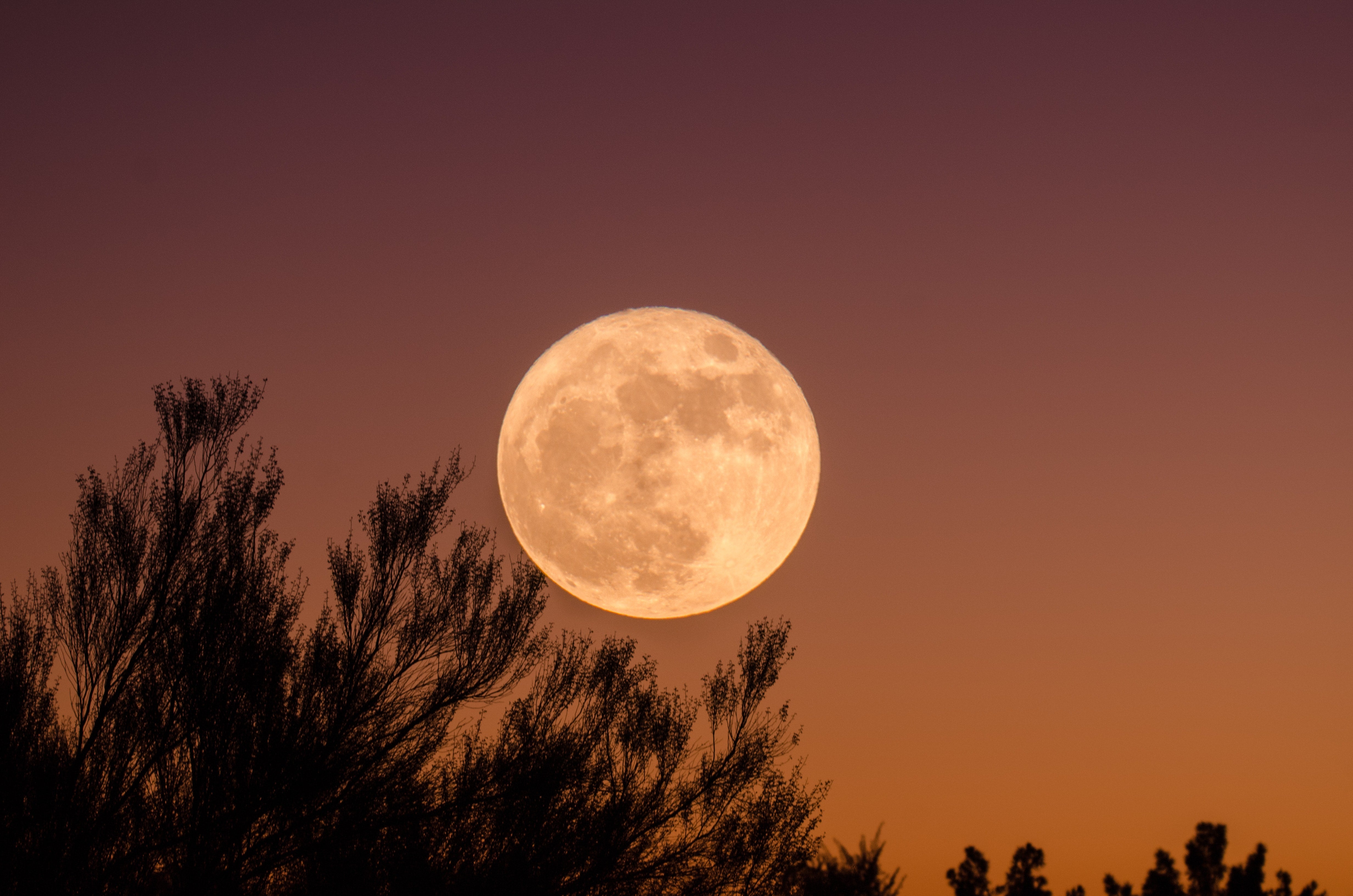 Full Moon June 2022 In Sagittarius – Moon Phase Studios