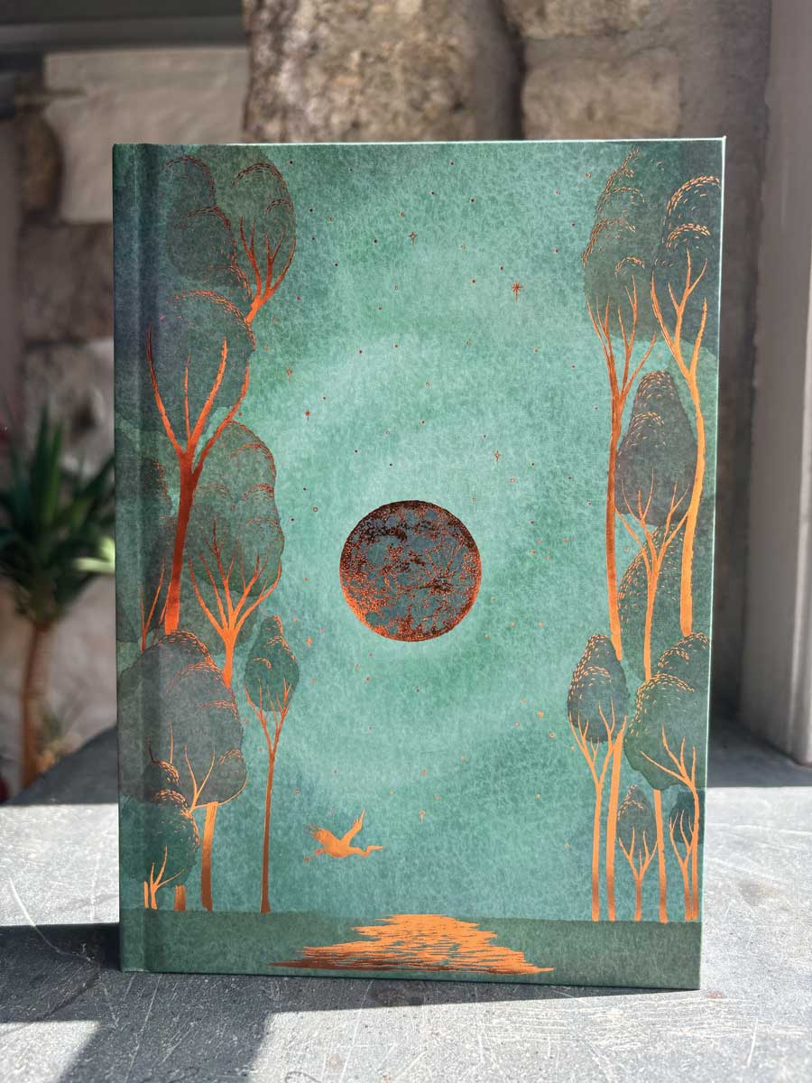 Moon Journal 2025 Pre Order – Moon Phase Studio