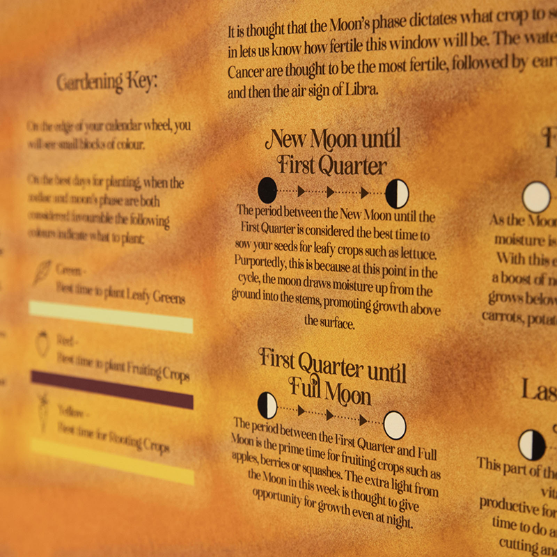 Large Moon Calendar Poster 2025 | Comprehensive Lunar Phases Guide ...